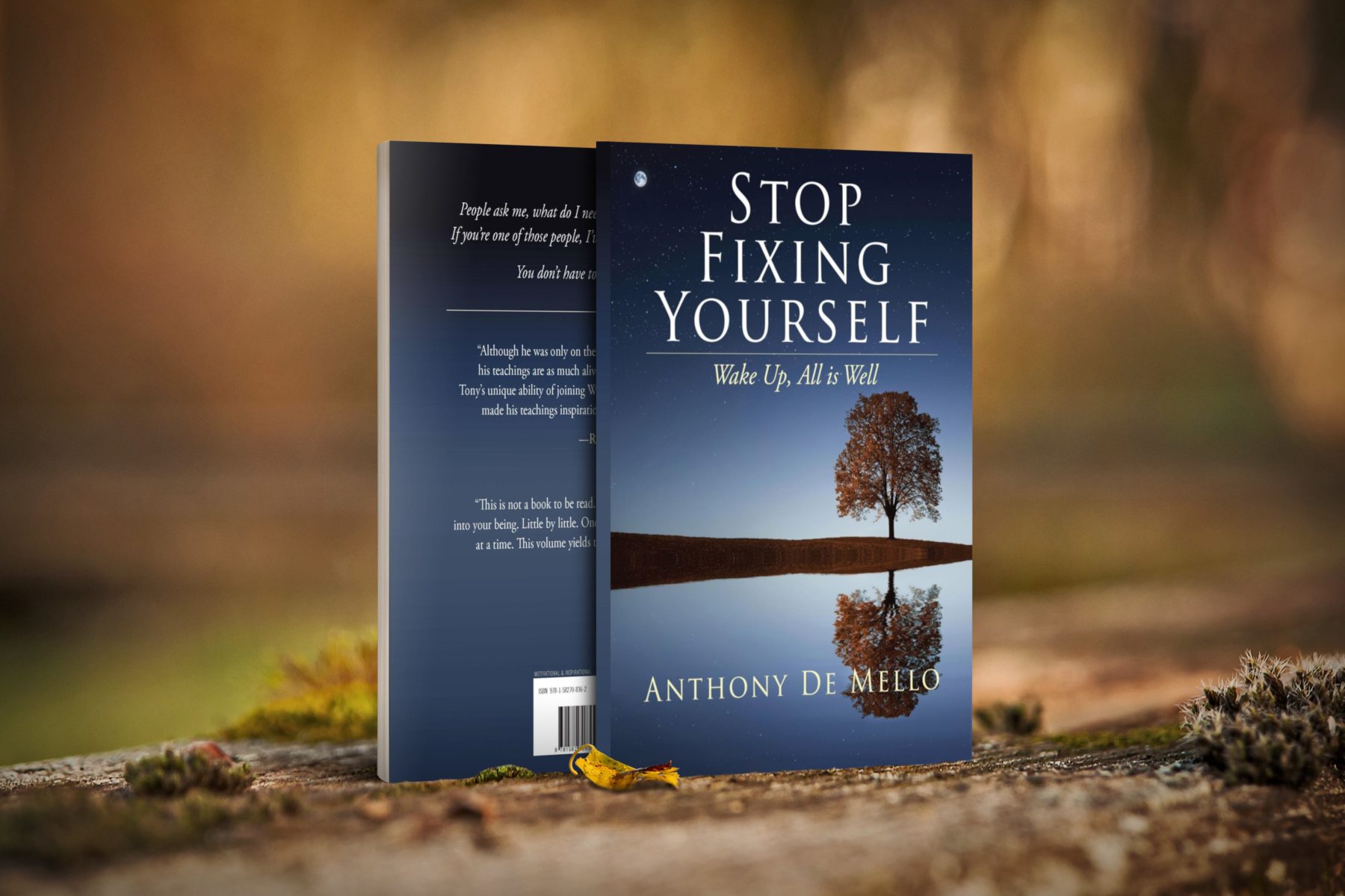 Your Gift for Ordering Stop Fixing Yourself | DeMello Spirituality Center
